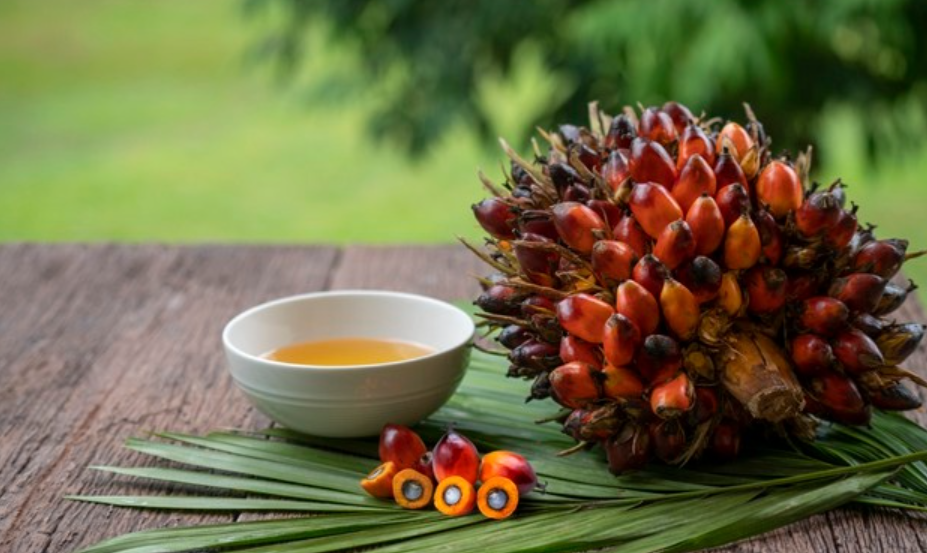 The Truth About Palm Kernel Oil: 7 Crucial Facts – grilling4all